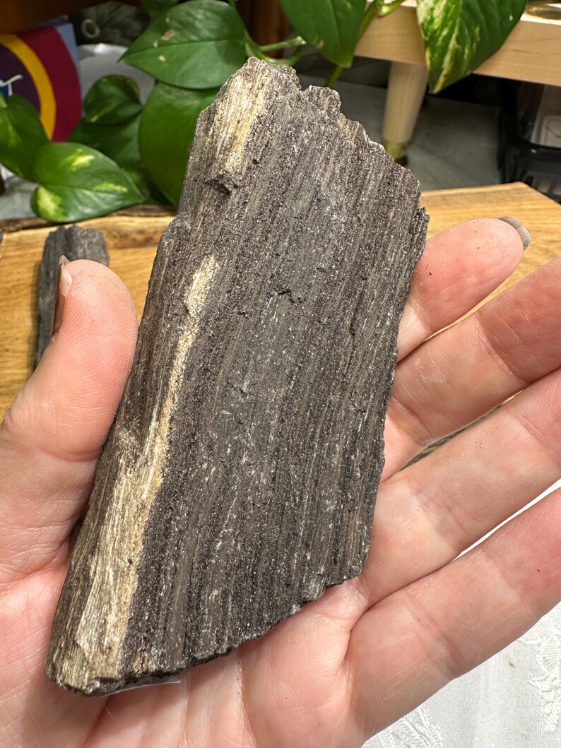 SUPER Sparkly, Permineralized Wood/galaxy Wood - Grounding ...