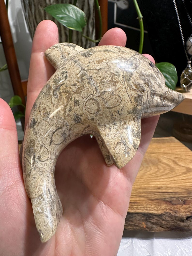 Adorable Fossil Frog and Dolphin Carvings - Grounding - Wisdom ...