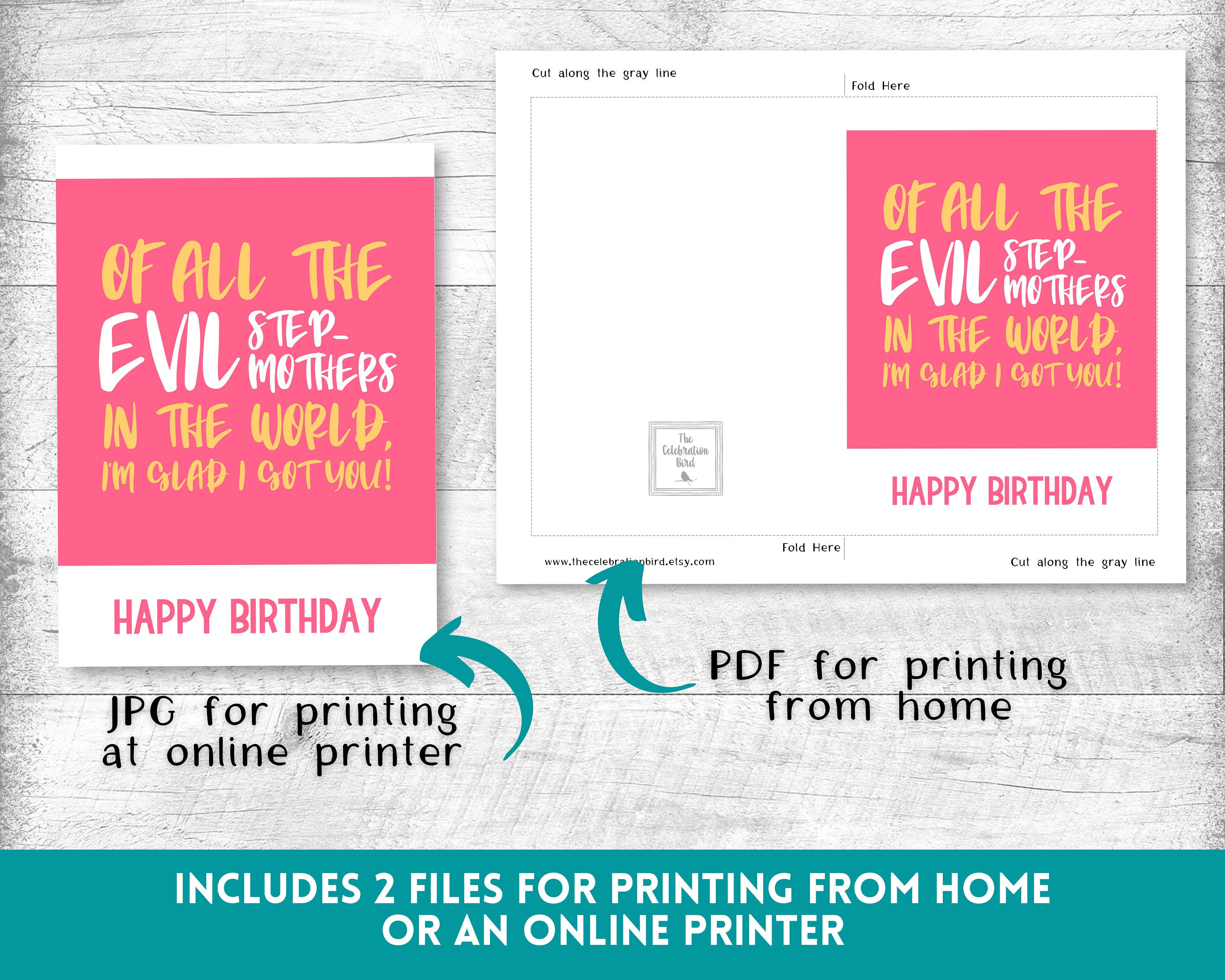 Evil Stepmother Birthday Card Step Mom Birthday Card Stepmom Birthday