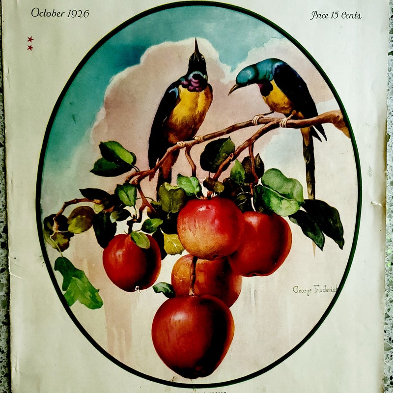 1920s Nature Print - Etsy