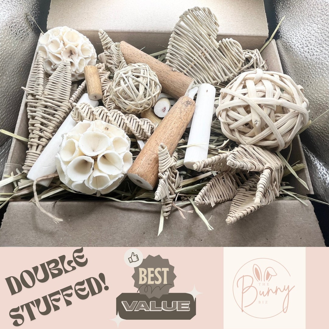 Bunny Rabbit Forage Box: Christmas Gift for Bunnies and Guinea Pigs ...