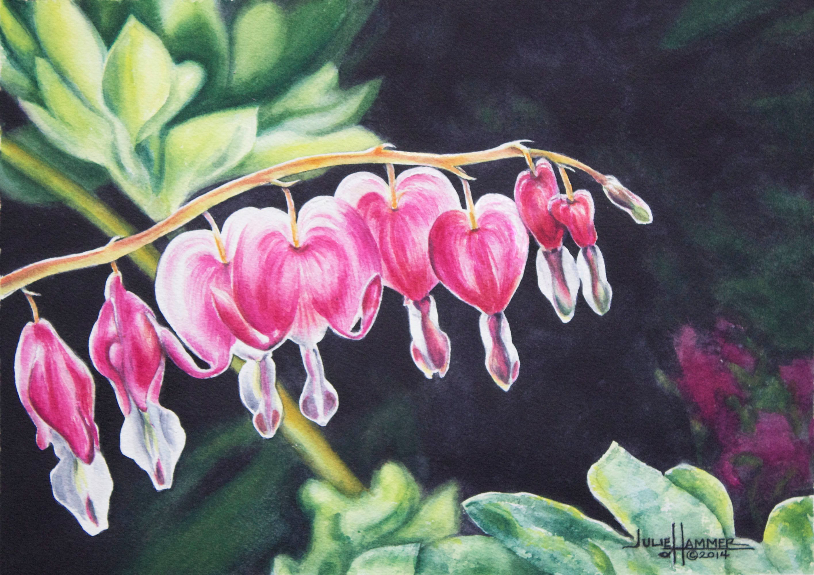 Bleeding Heart Watercolor Art Print - Etsy