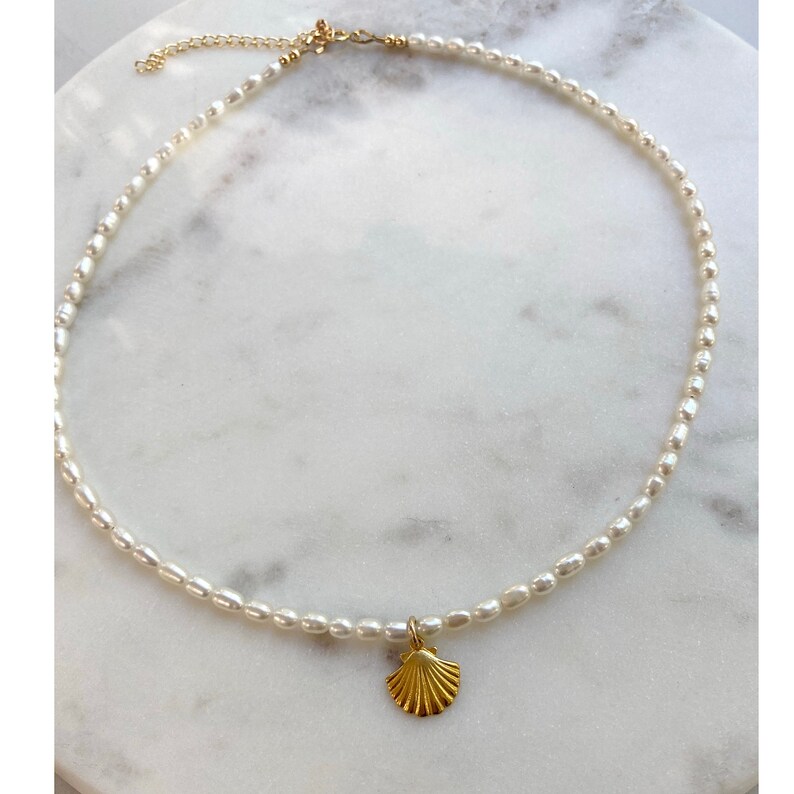 Sea Shell Necklace. Sea Shell Pearl Necklace. Sea Shell Charm - Etsy