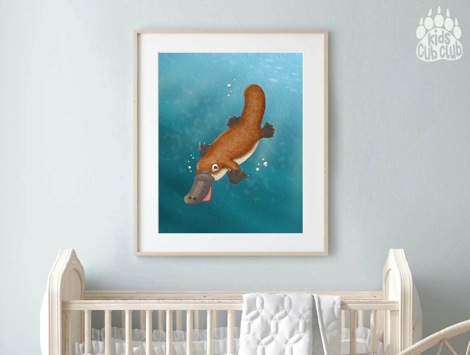 Platypus Pictures For Kids