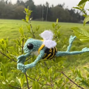 Build A Frog - Etsy