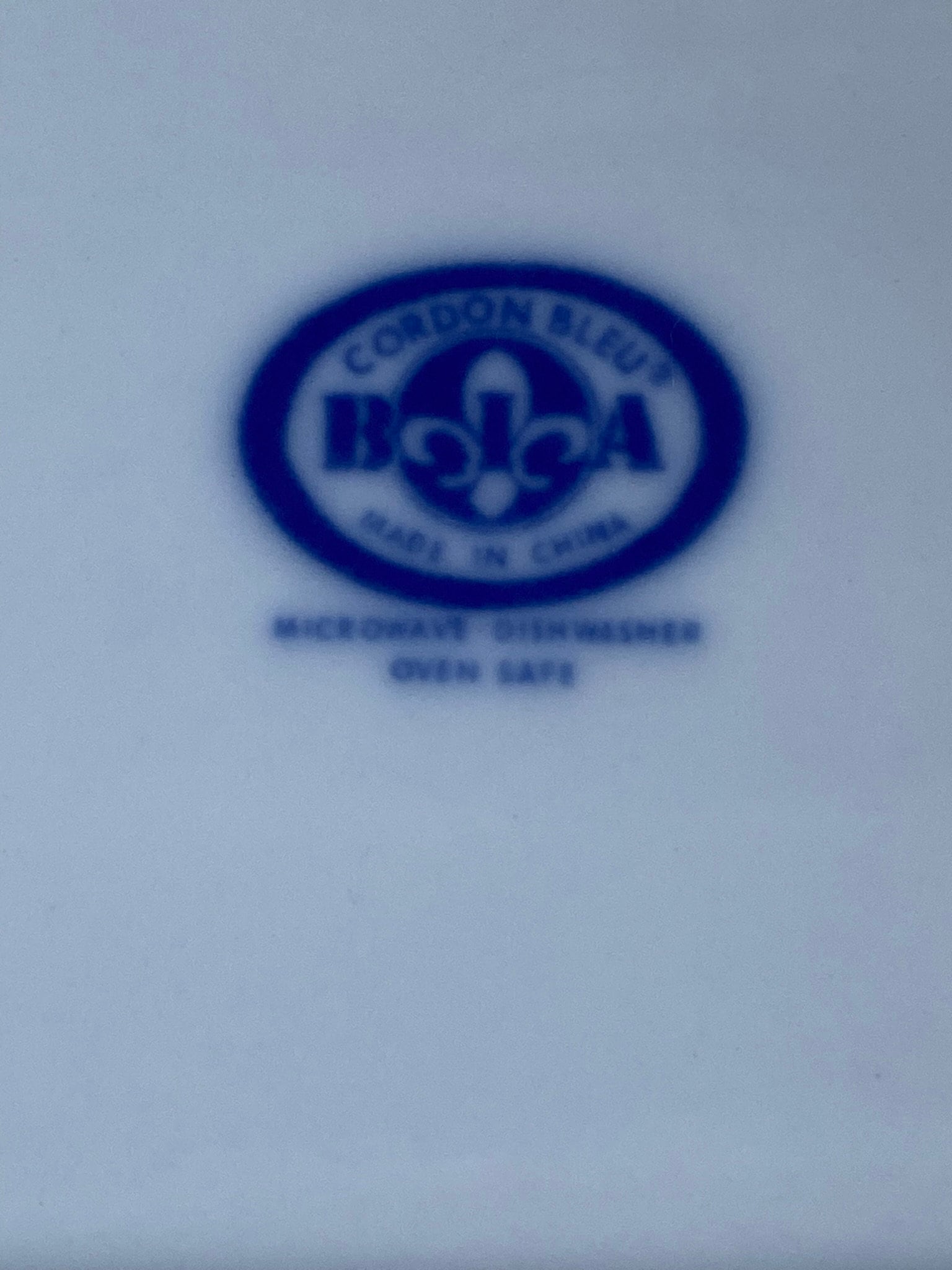 Vintage Beautiful BIA Cordon Bleu Blue and White Rectangle Sushi or ...