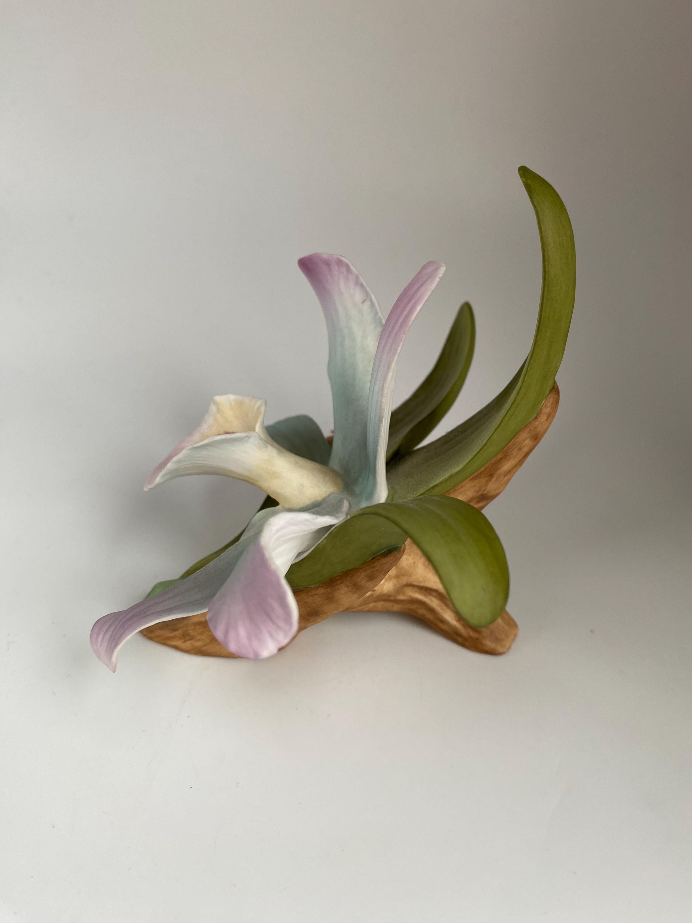 Hamilton Collection Fine Bisque Porcelain Limited Edition Orchid ...