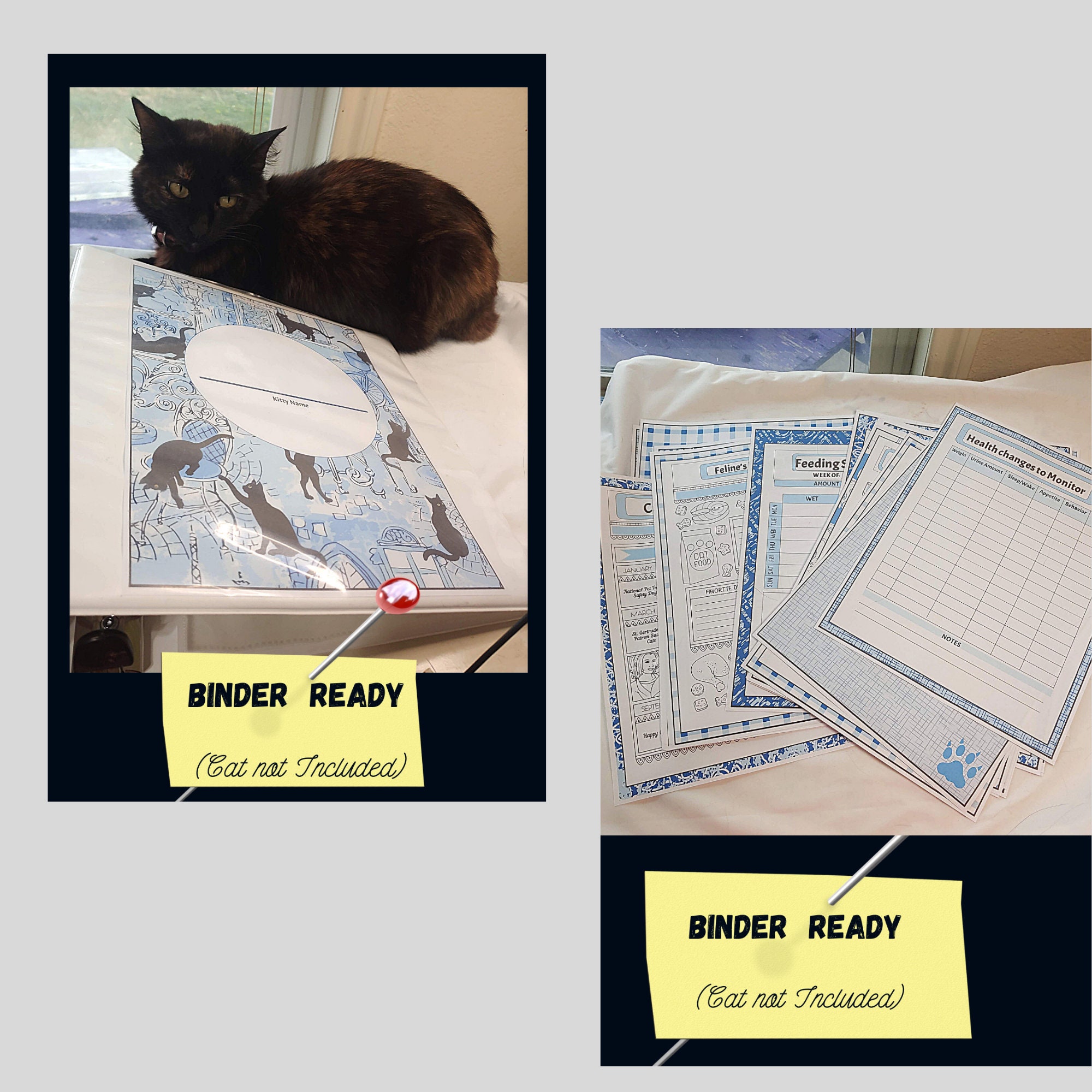 Kitten Care Planner for Foster Kittens/weight Tracker/vaccinations ...