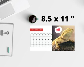 Dragon Calendar - Etsy