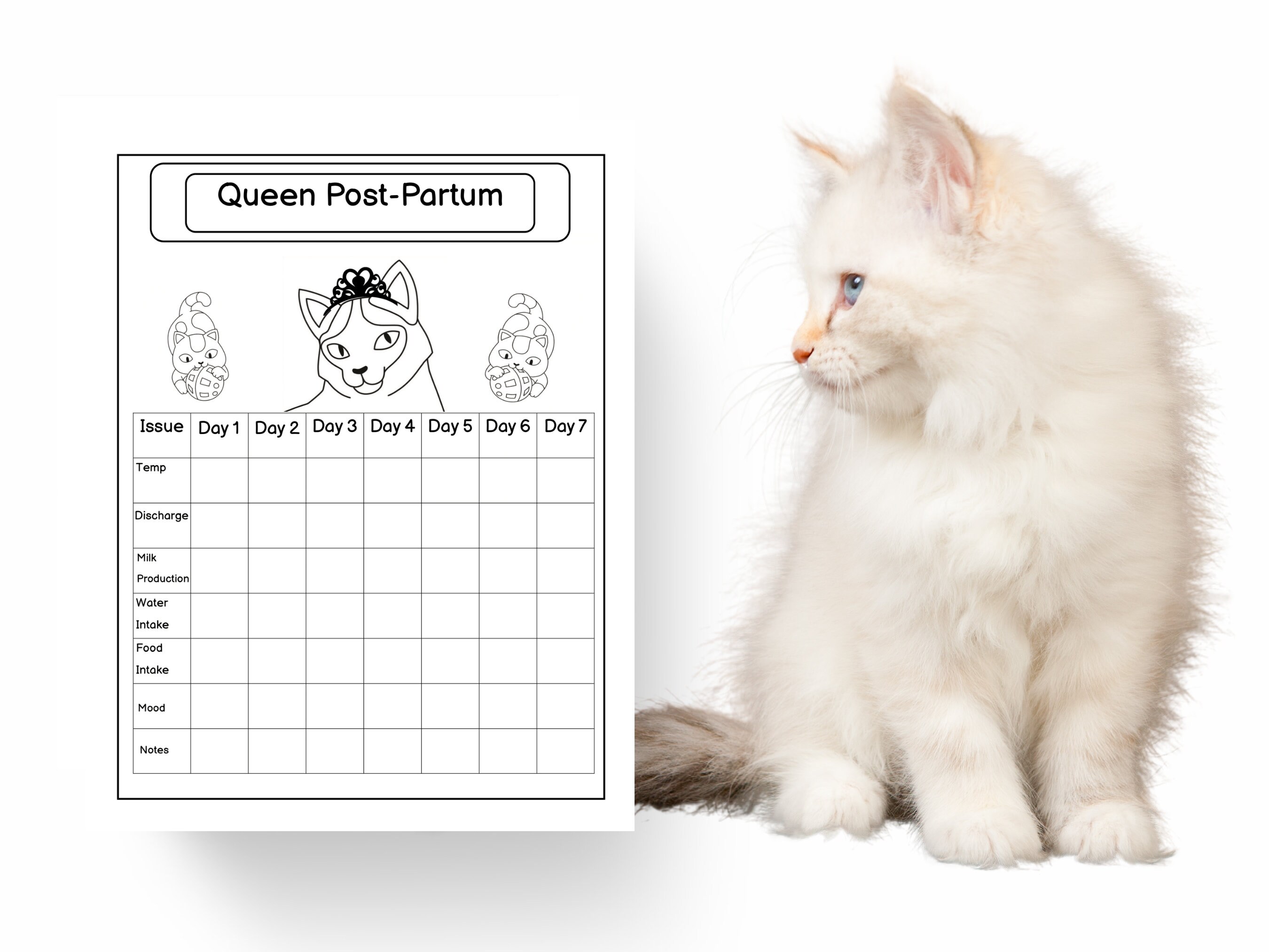 Cat Breeder Forms for Cat Breeders/pdf/kitten Breeder Planner/litter ...