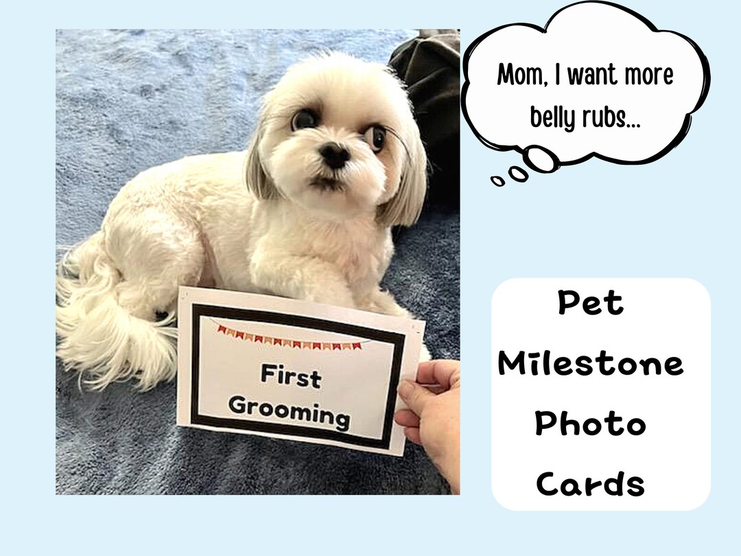 New Puppy Milestone Cards/ Printable Photo Pages/ Record All of Your ...