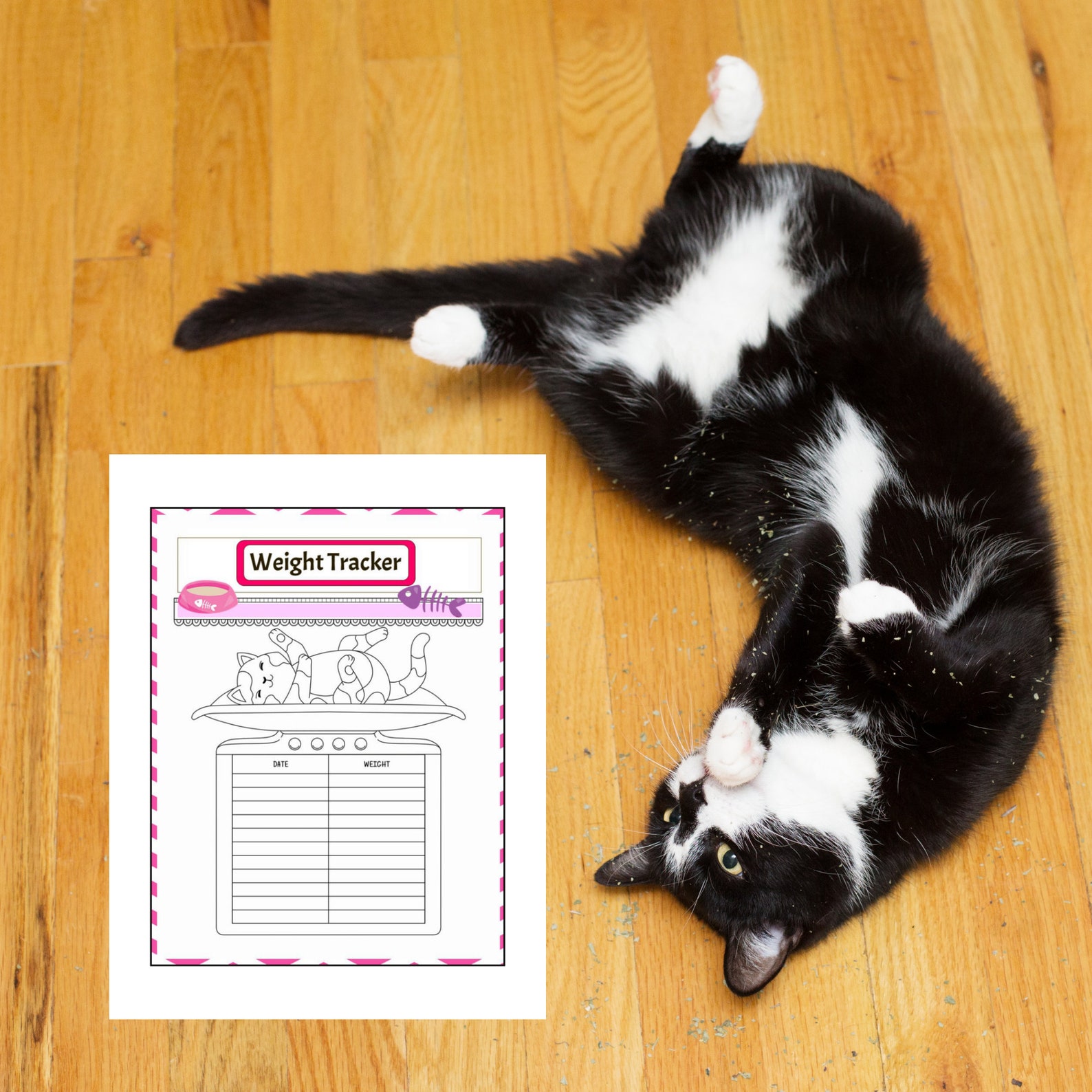 Weight Tracker/kitten Care/kitten Binder Page/printable Planner Weight ...