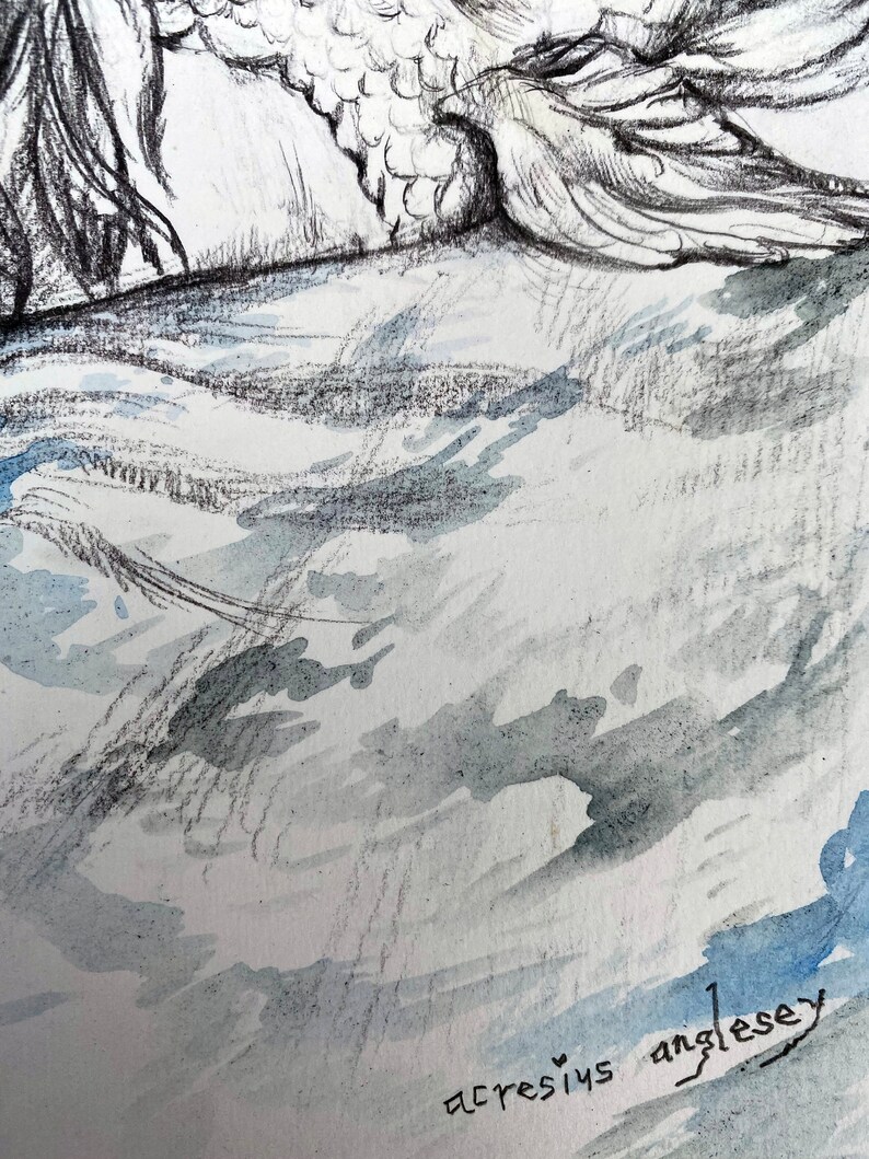 Aquatic AURORA Avatar Dreaming MORFORWYN Seren マーメイド 美人鱼 Amphitrite, a ...
