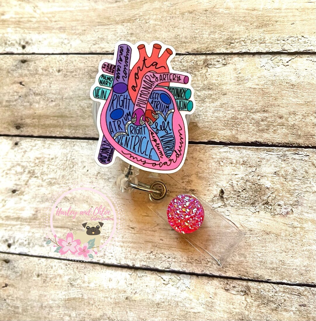Anatomical Heart Badge Reel Nursing Student Badge Reel Heart Badge Reel ...