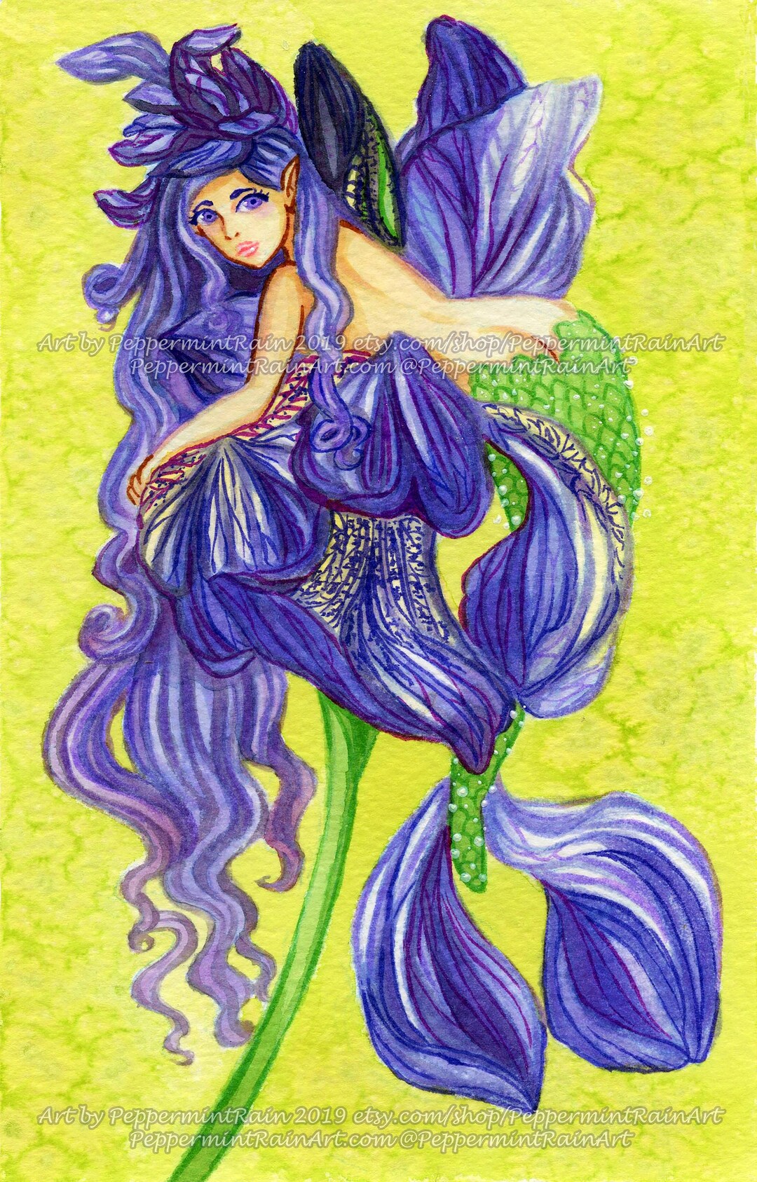 Flower Mermaid Watercolor Series Fine Art Print: Iris - Etsy