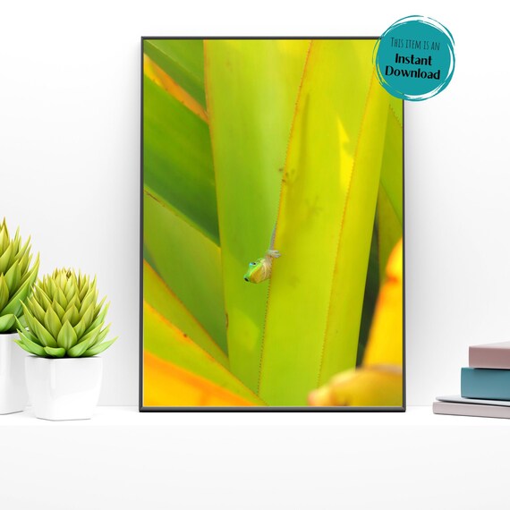 Bright Green Gecko Printable Hawaii Wall Art Day Gecko | Etsy