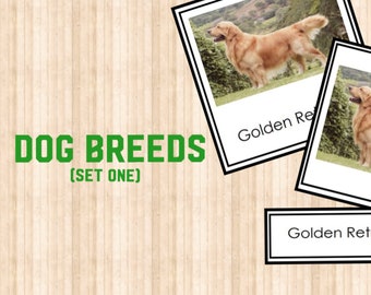 DOG BREEDS, 26 Large Cards With Real Images & Proportions, Montessori ...