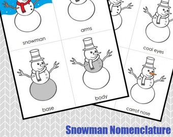 Parts of a Tooth • Nomenclature Cards • Montessori • Flash Cards ...