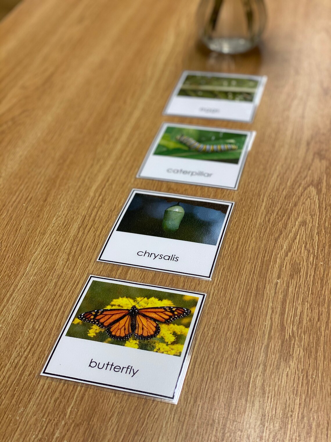 Life Cycle of a Butterfly • Three Part Cards • Montessori • Flash Cards ...