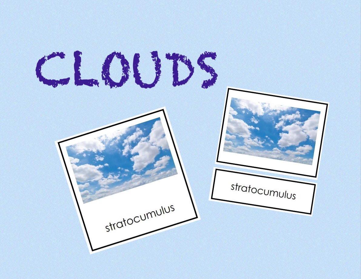 Types of Clouds • Three Part Cards • Montessori • Flash Cards • Digital ...
