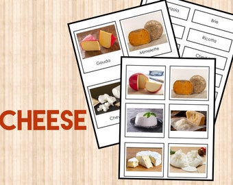 Varieties of Apples • Three Part Cards • Montessori • Flash Cards ...