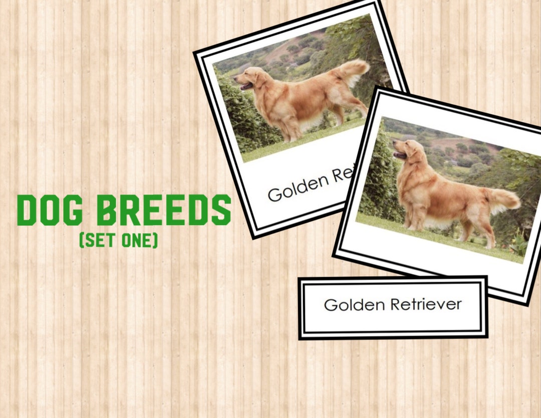 Dog Breeds • Three Part Cards • Montessori • Flash Cards • Digital ...