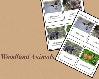 Australian Animals • Nomenclature Cards • Montessori • Flash Cards ...