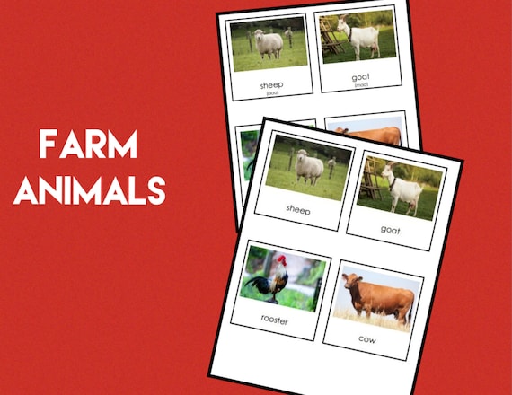Farm Animals Three Part Cards Montessori Flash Cards | Etsy