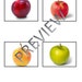 Varieties of Apples Three Part Cards Montessori Flash Cards Digital ...