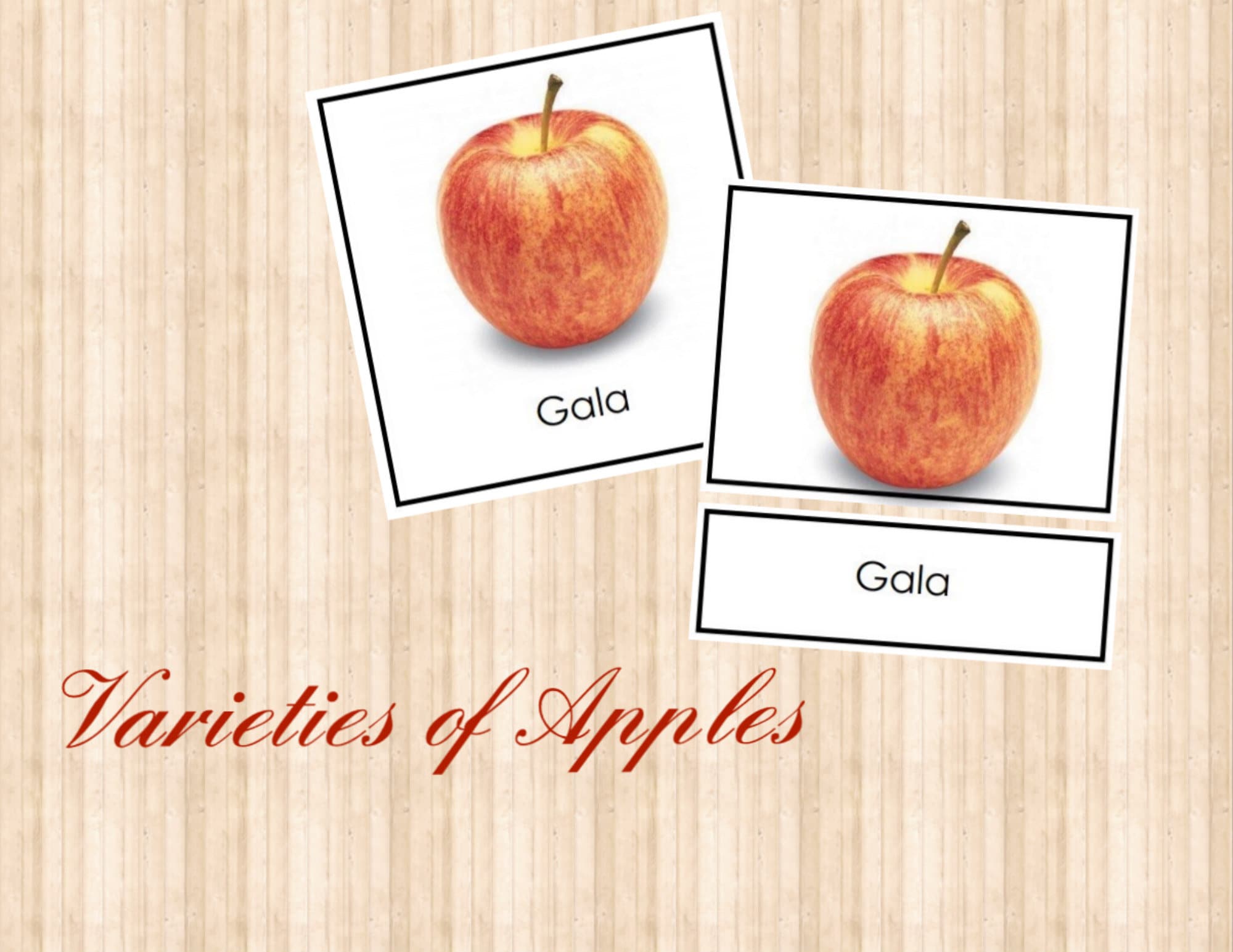 Varieties of Apples • Three Part Cards • Montessori • Flash Cards ...