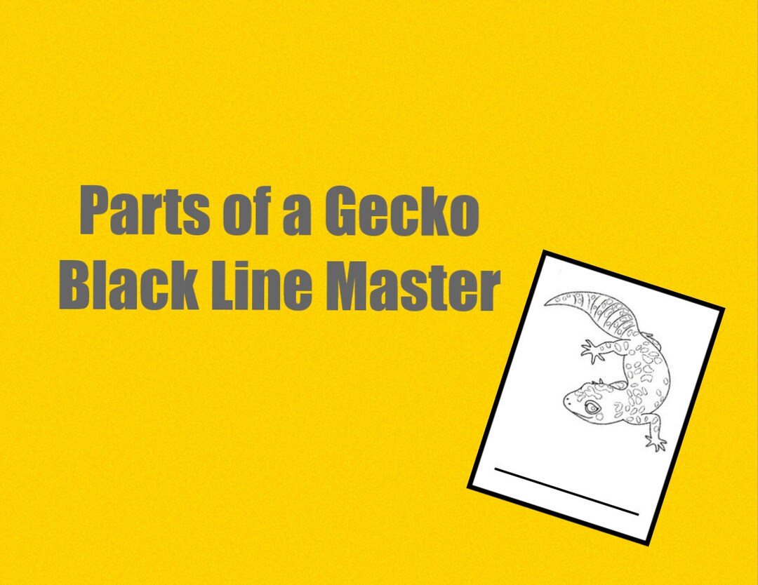 Parts of a Gecko • Black Line Master • Nomenclature Cards • Montessori ...