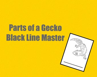 Parts of a Tooth • Black Line Master • Nomenclature Cards • Montessori ...