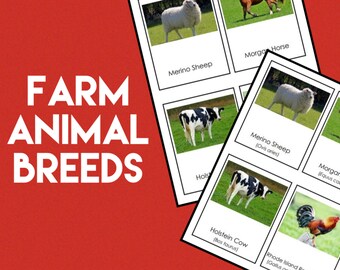 Australian Animals • Nomenclature Cards • Montessori • Flash Cards ...