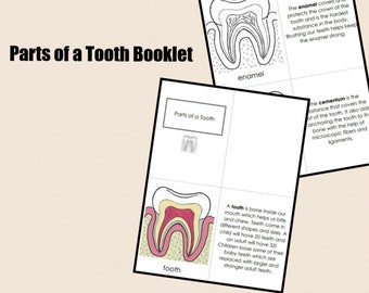 Parts of a Rabbit Booklet • Nomenclature Cards • Montessori • Flash ...