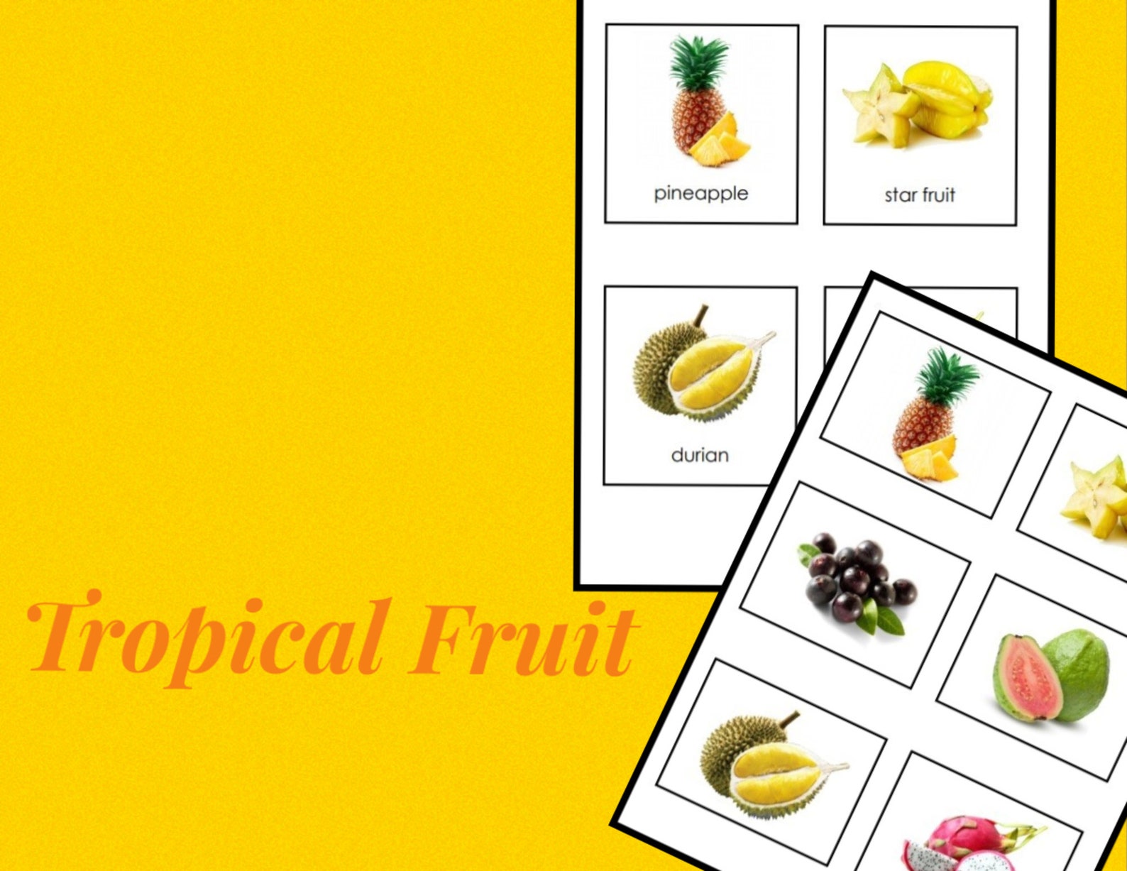Tropical Fruit • Three Part Cards • Montessori • Flash Cards • Digital ...