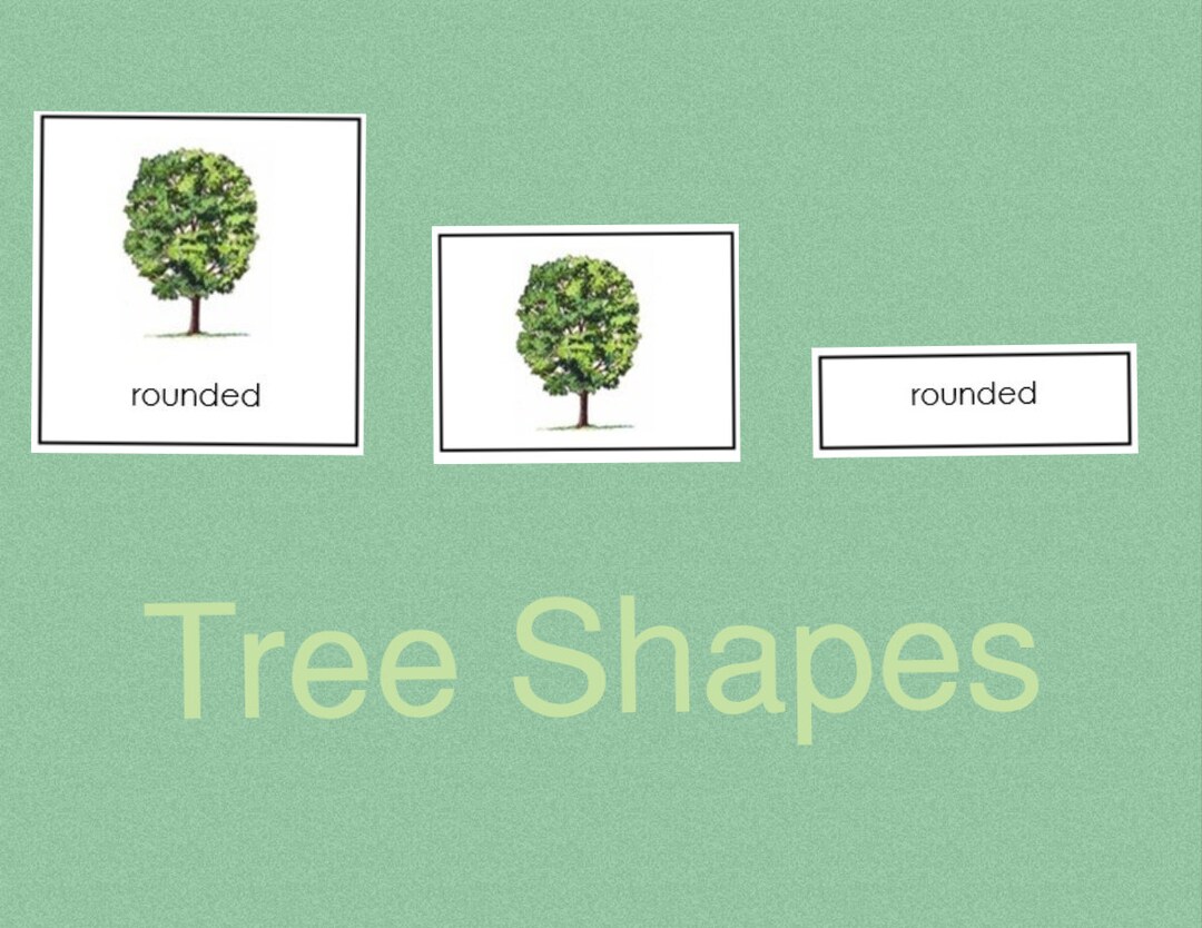 Tree Shapes • Three Part Cards • Montessori • Flash Cards • Digital ...