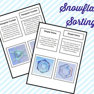 DigitalMontessori - Etsy