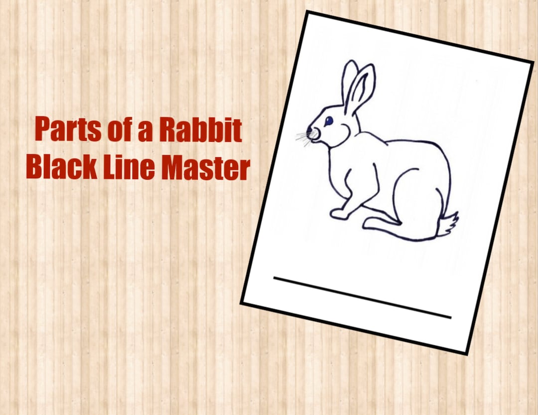 Parts of a Rabbit • Black Line Master • Nomenclature Cards • Montessori ...