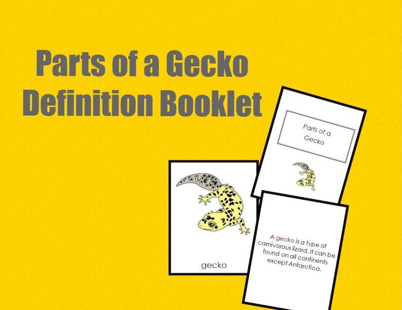 Gecko Anatomy Booklet: Montessori Nomenclature Cards (printable PDF) - Etsy