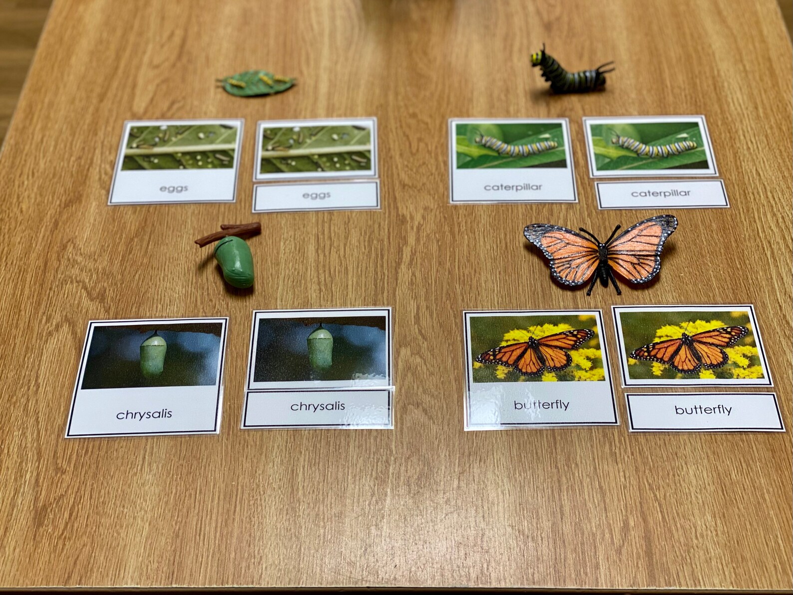 Life Cycle of a Butterfly • Three Part Cards • Montessori • Flash Cards ...