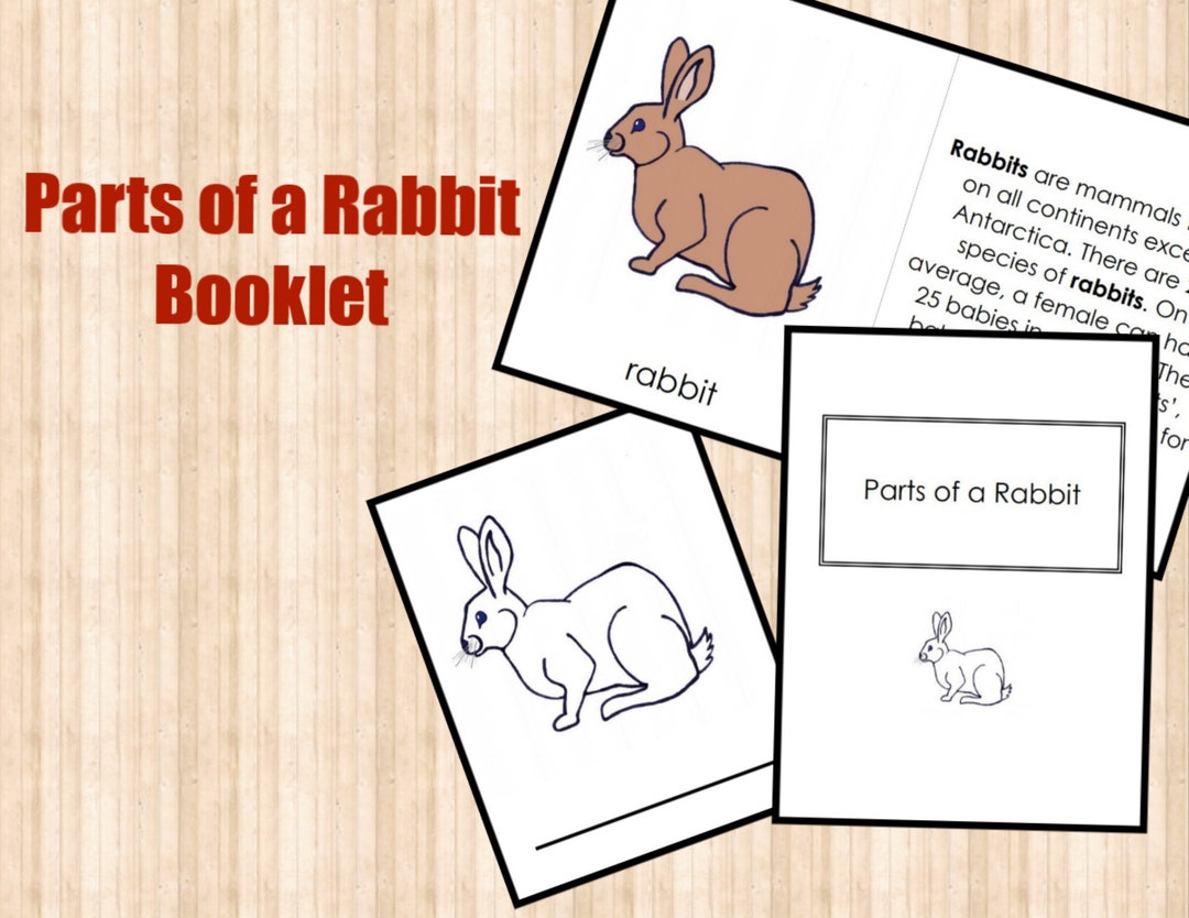 Parts of a Rabbit Booklet • Nomenclature Cards • Montessori • Flash ...