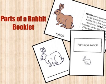 Montessori 3 Part Cards Parts of a Rabbit - Etsy