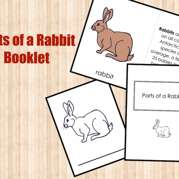 Printable Rabbit - Etsy