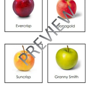 Varieties of Apples • Three Part Cards • Montessori • Flash Cards ...