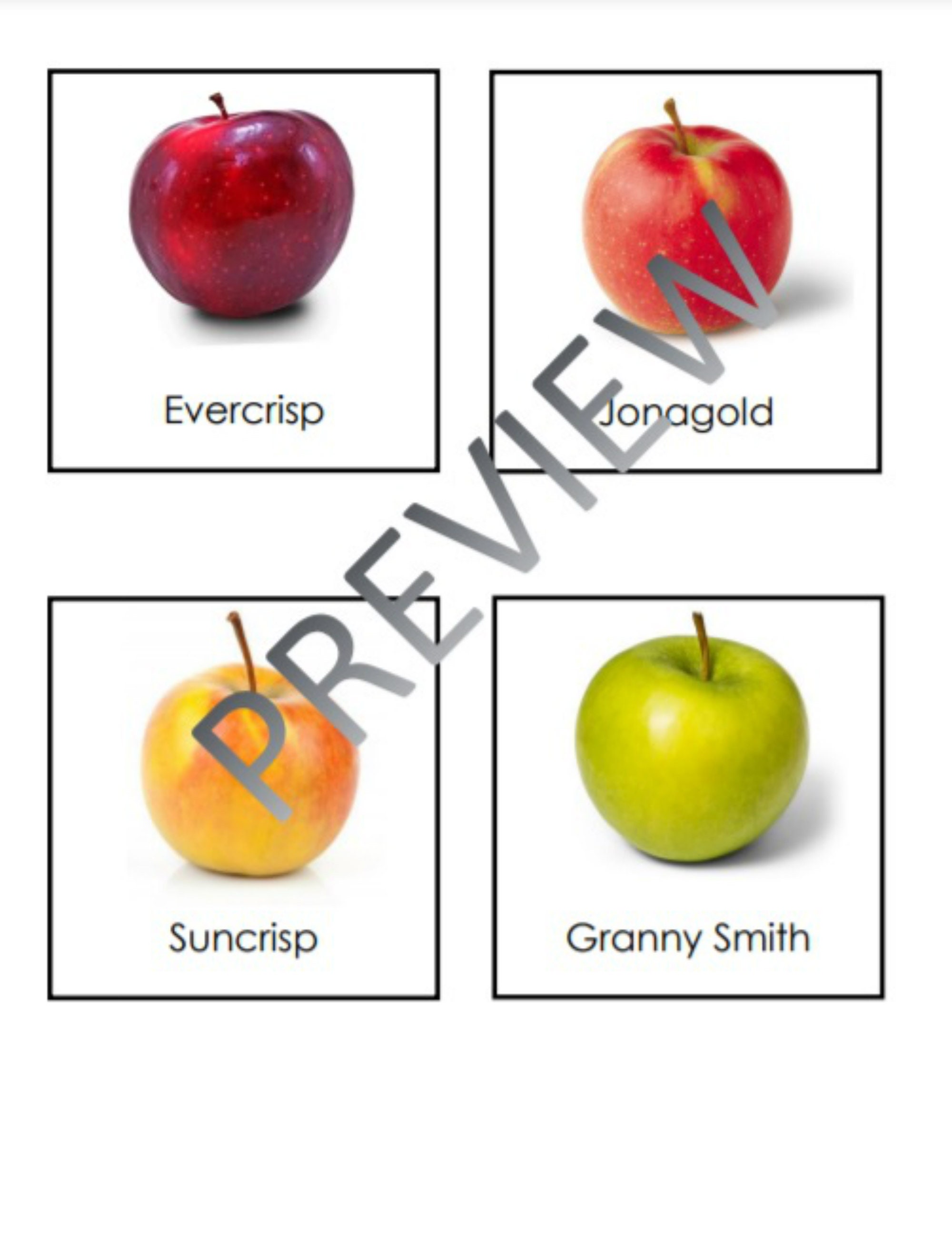 Varieties of Apples • Three Part Cards • Montessori • Flash Cards ...