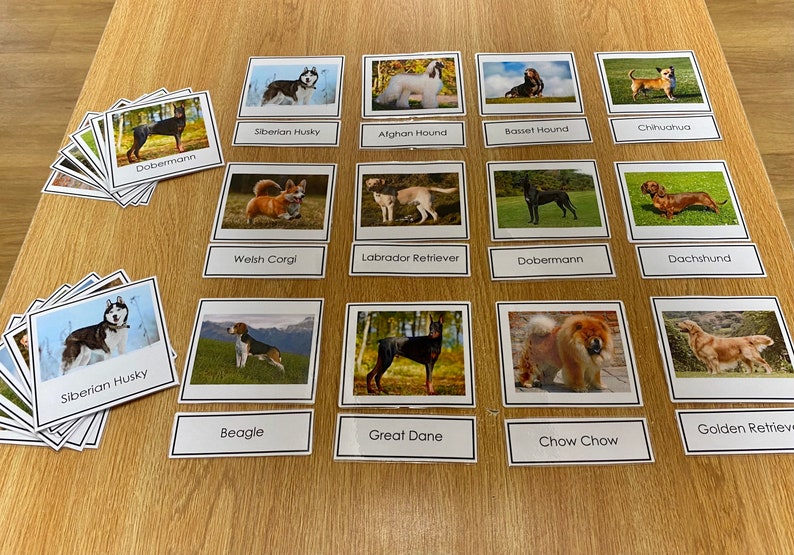 Dog Breeds • Three Part Cards • Montessori • Flash Cards • Digital ...