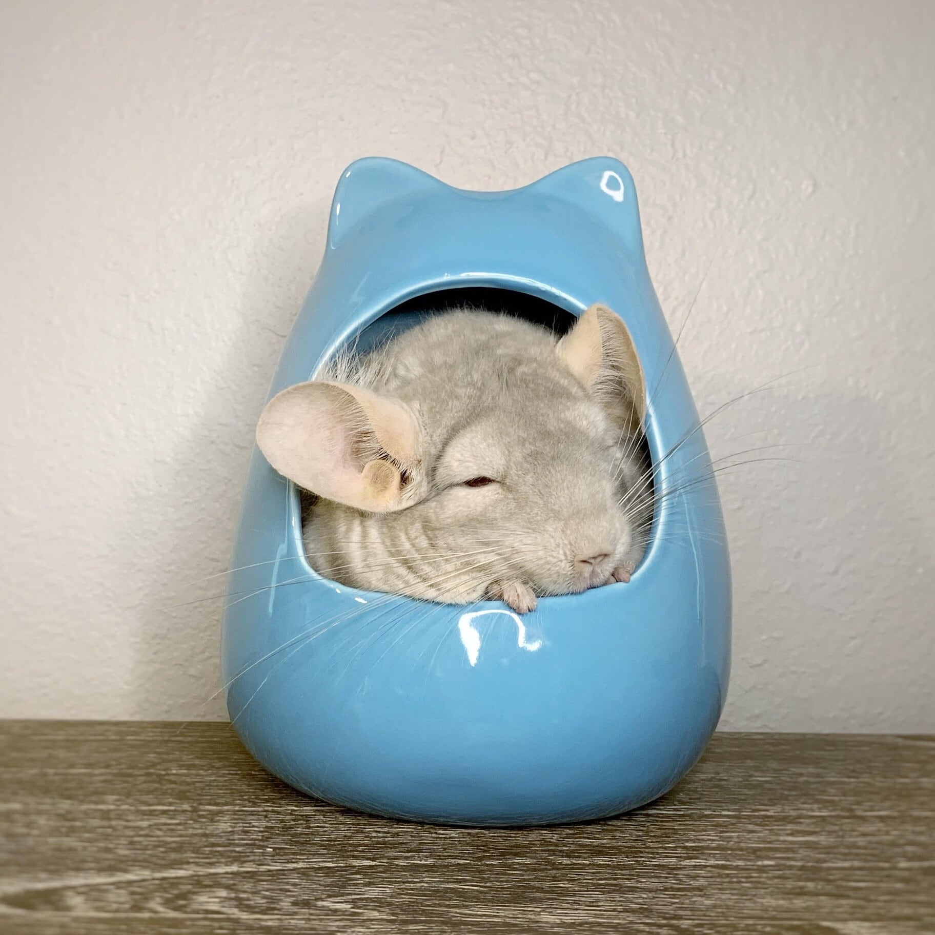 Chinchilla Dust Bath Brands