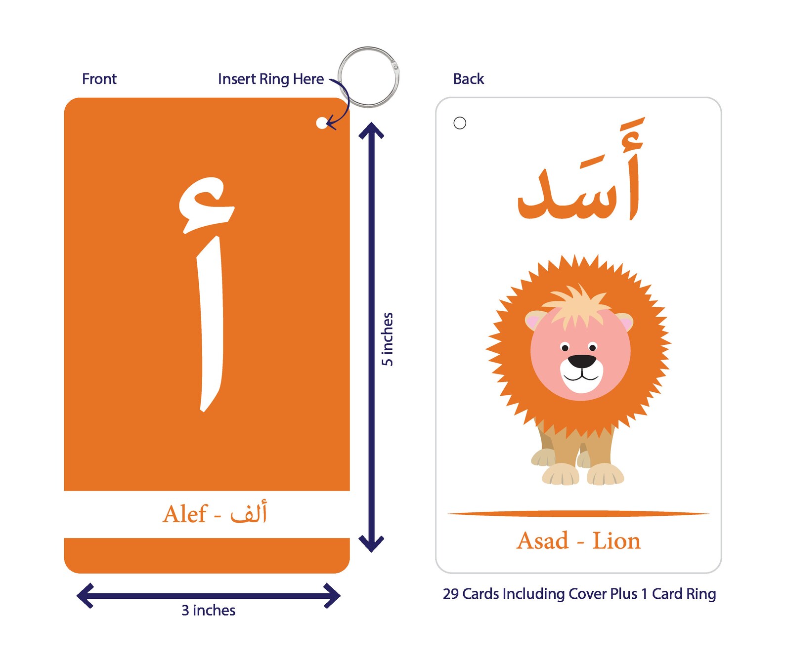 Arabic Alphabets Cards Arabic Flashcards Arabic Book - Etsy Canada