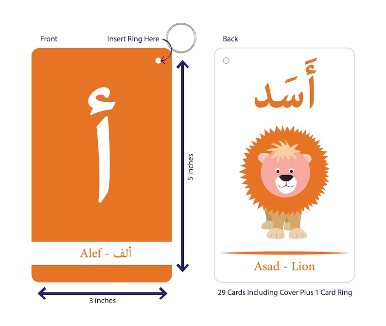 Arabic Alphabets Cards Arabic Flashcards Arabic Book - Etsy Canada