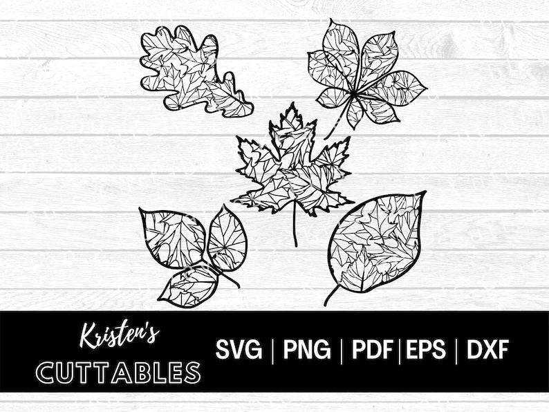 Leaf Outline SVG Fall Leaves SVG Autumn Welcome DXF Mandala Leaves Png ...